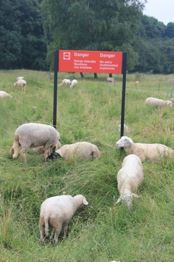 Walking on Bombs Without Harm