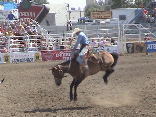 Kicking Against the Goads: Why I Am a Christian, Part 20 | Sermon ...