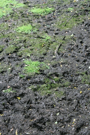 The Outcast | Sermon Illustrator