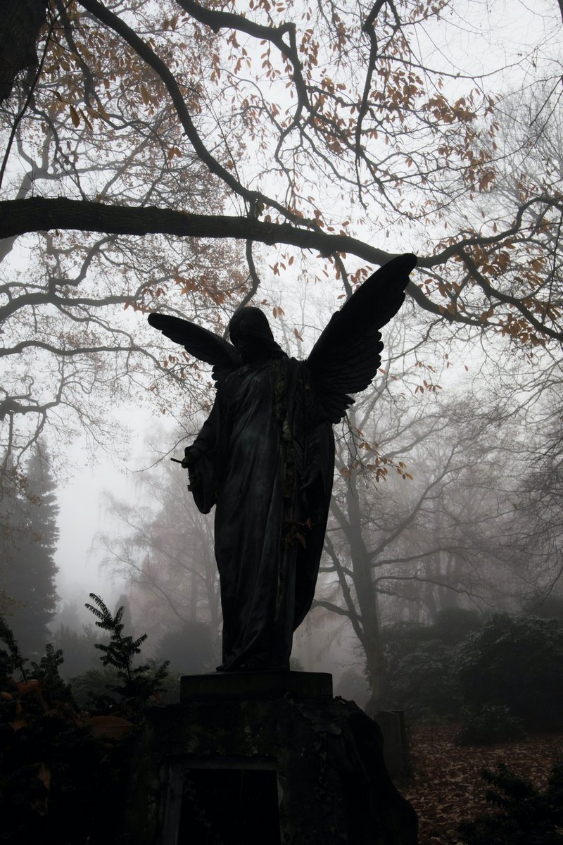 Angels Among Us | Sermon Illustrator